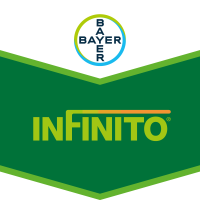 Infinito®