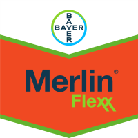 Merlin® Flexx