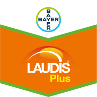 Laudis® Plus (Laudis® + Delion®)