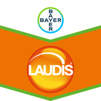 Laudis®