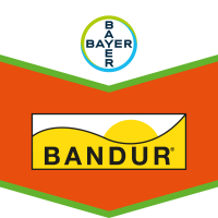 Bandur®
